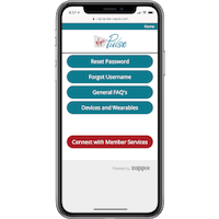 Zappix, A Digital Engagement Solution